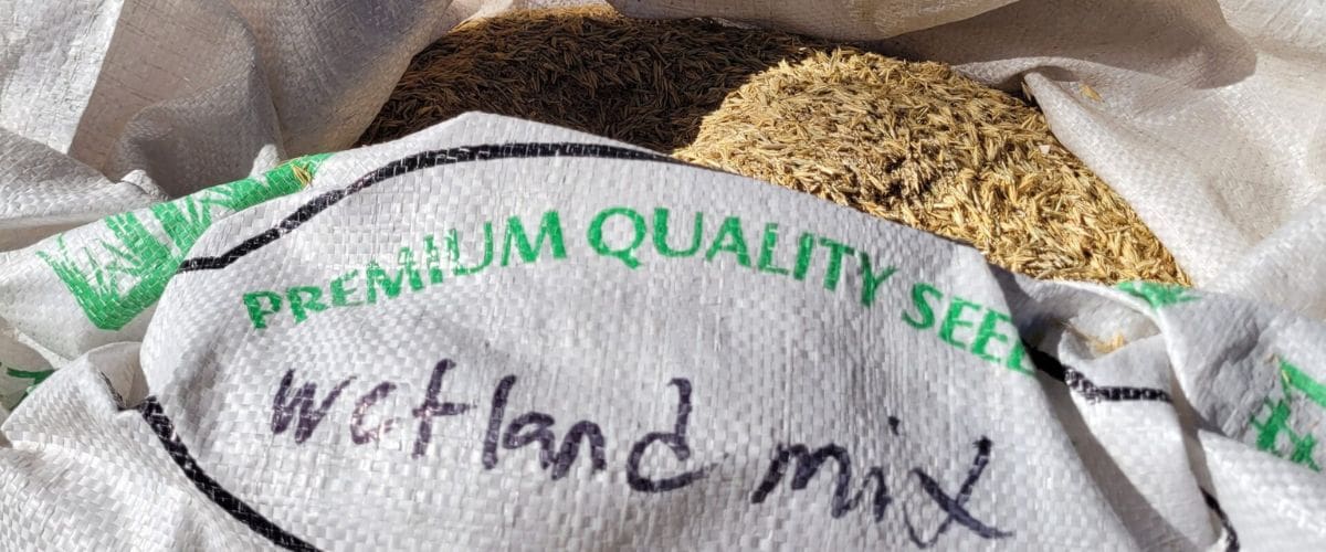 Update: Coho Salmon Habitat Restoration at Iron Horse Vineyards | Iron ...