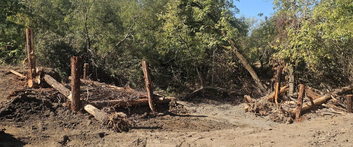 Update: Coho Salmon Habitat Restoration at Iron Horse Vineyards | Iron ...